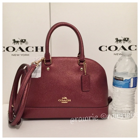 Coach | Bags | New Coach Metallic Leather Mini Sierra Satchel | Poshmark